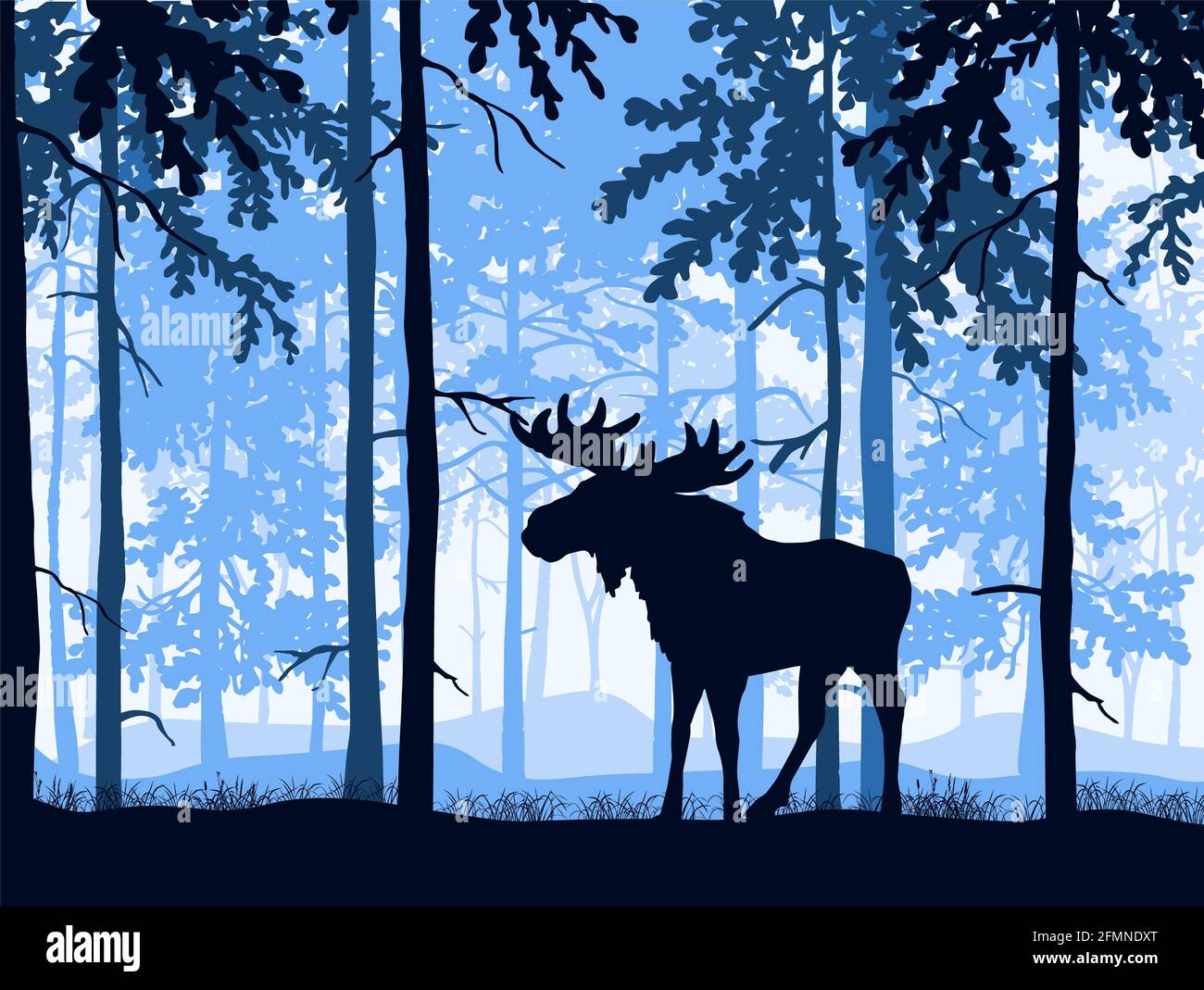 Moose with antlers posing, forest background, silhouettes of trees ...