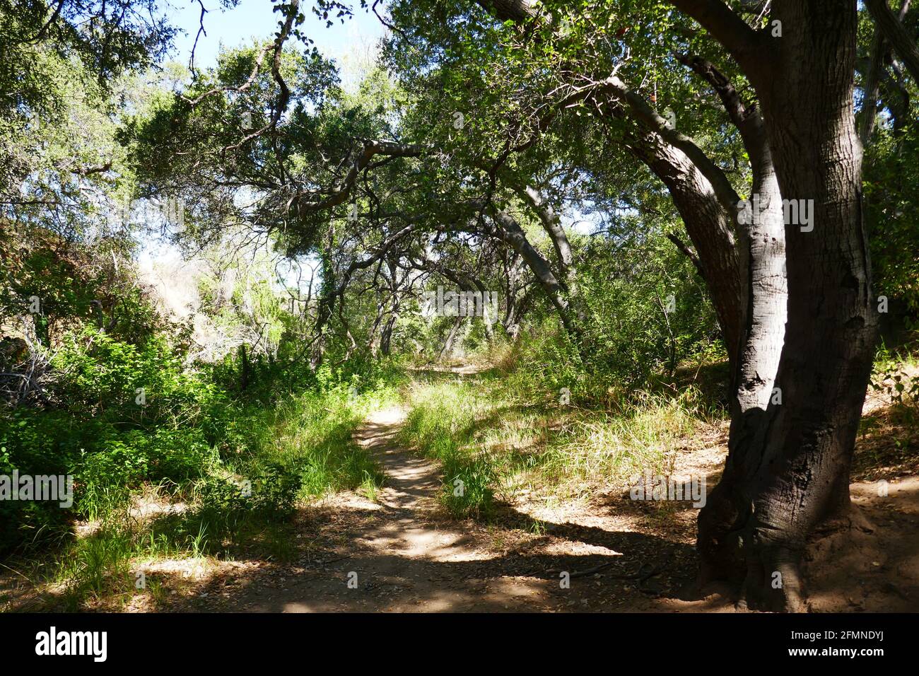 Chatsworth, California USA 3rd May 2021 A general view of atmosphere of ...