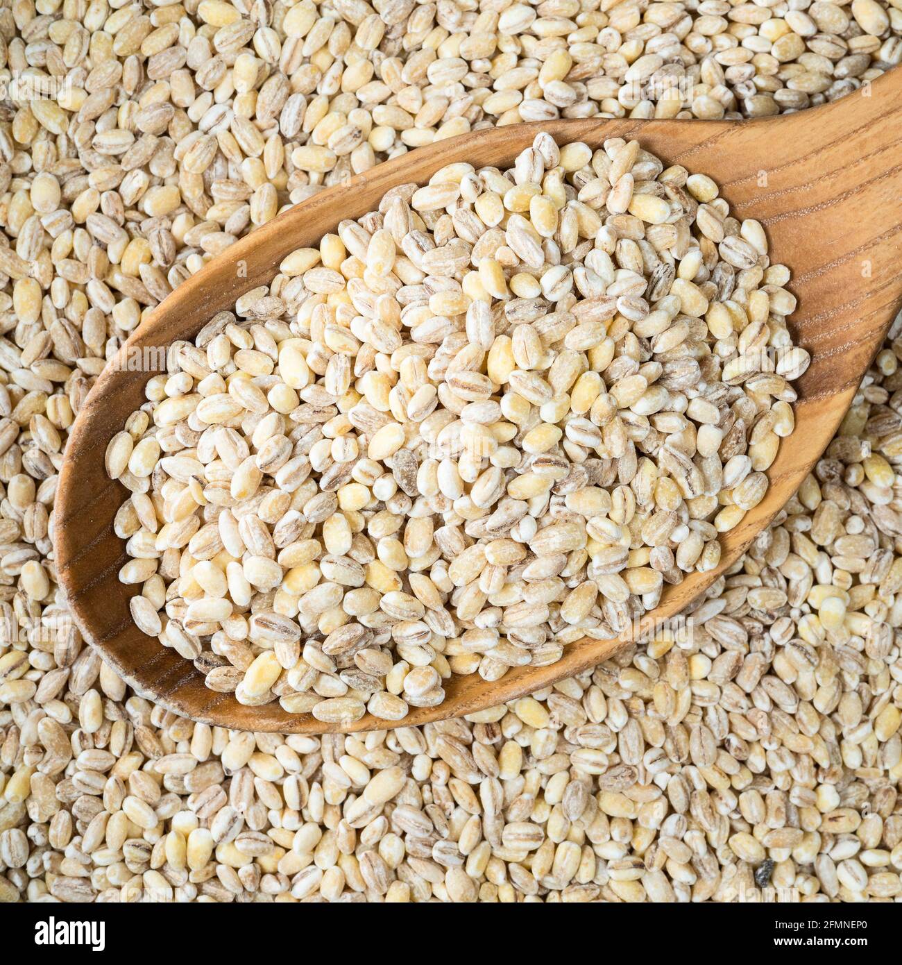 top view of raw pearl barley groats in wooden spoon closeup Stock Photo ...