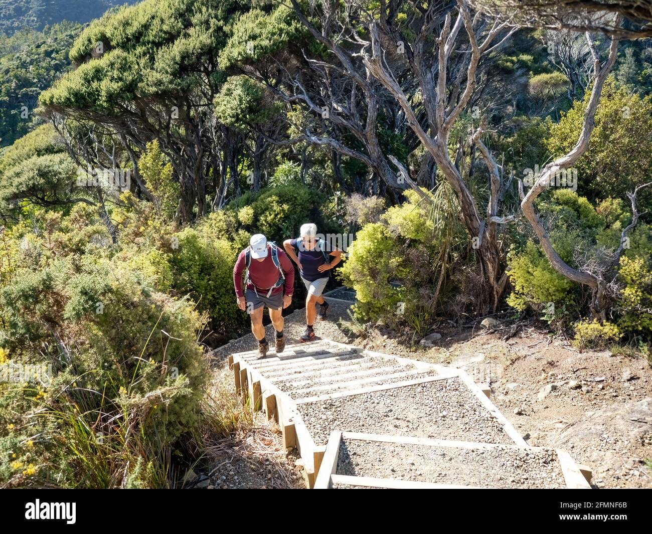 AUCKLAND, NEW ZEALAND - May 03, 2021: Tourists at Omanawanui Track ...