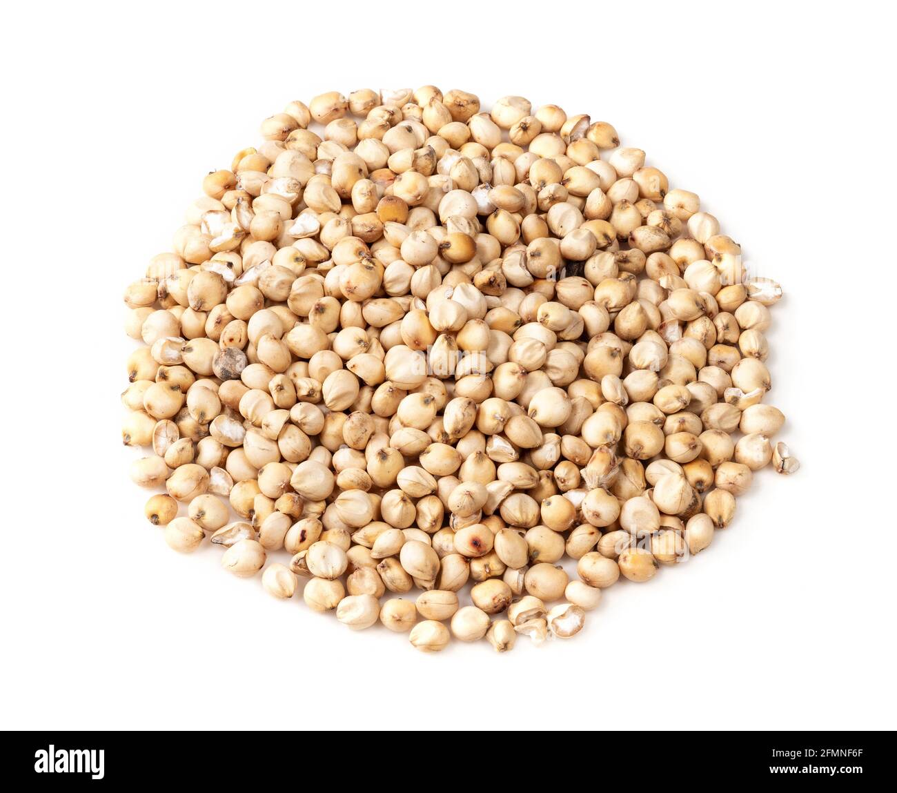 pile of raw unhulled Sorghum grains closeup on white background Stock ...