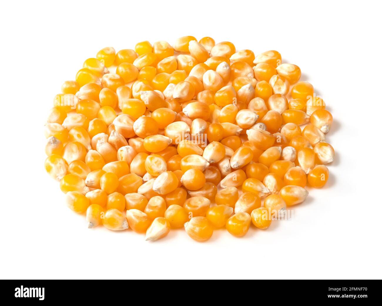handful of raw maize (corn) seeds closeup on white background Stock ...