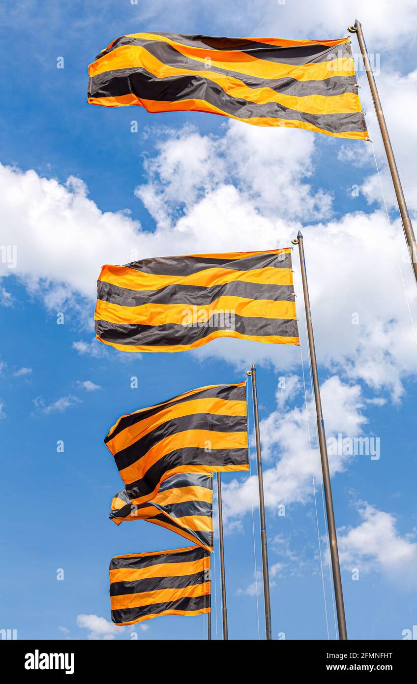 St. George flags of victory waving in the wind against the background ...