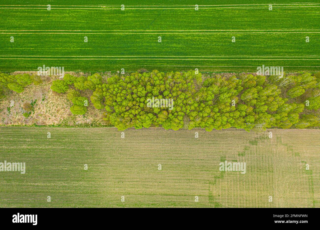 Farmland from above - aerial image of a lush green filed Stock Photo ...