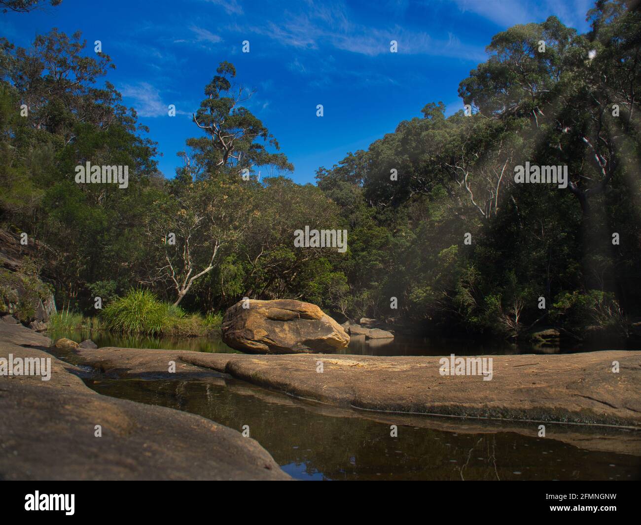 Garigal natioonal park hi-res stock photography and images - Alamy