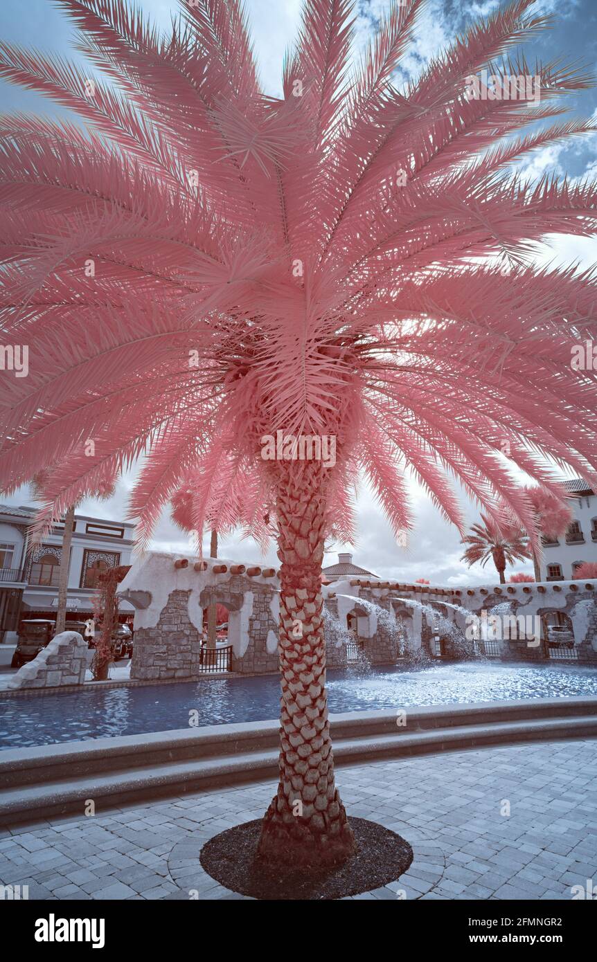 Infrared photography! These pictures are outside the visible spectrum ...