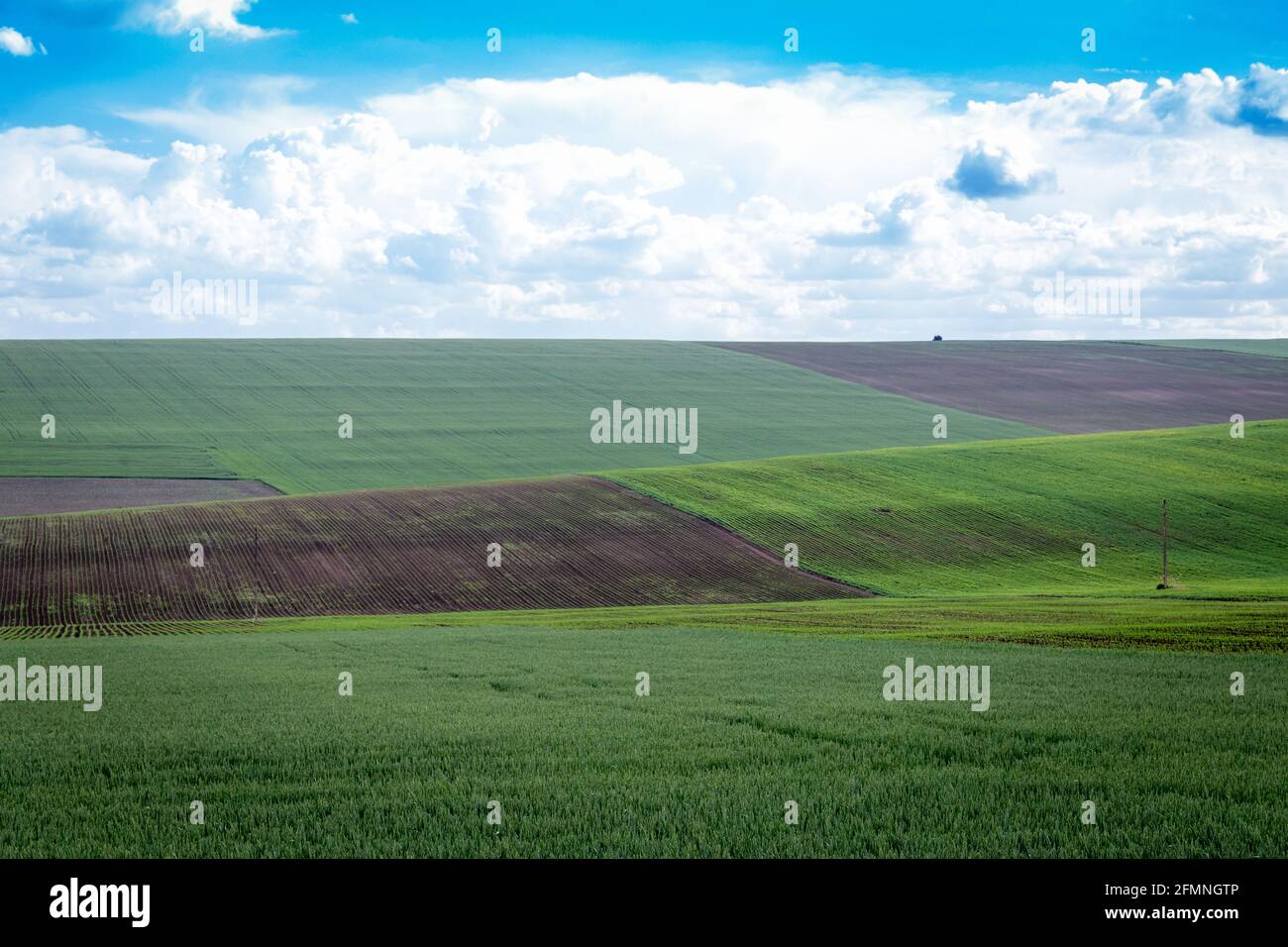 Folded spring agricultural land with corn, rapeseed, wheat and others ...
