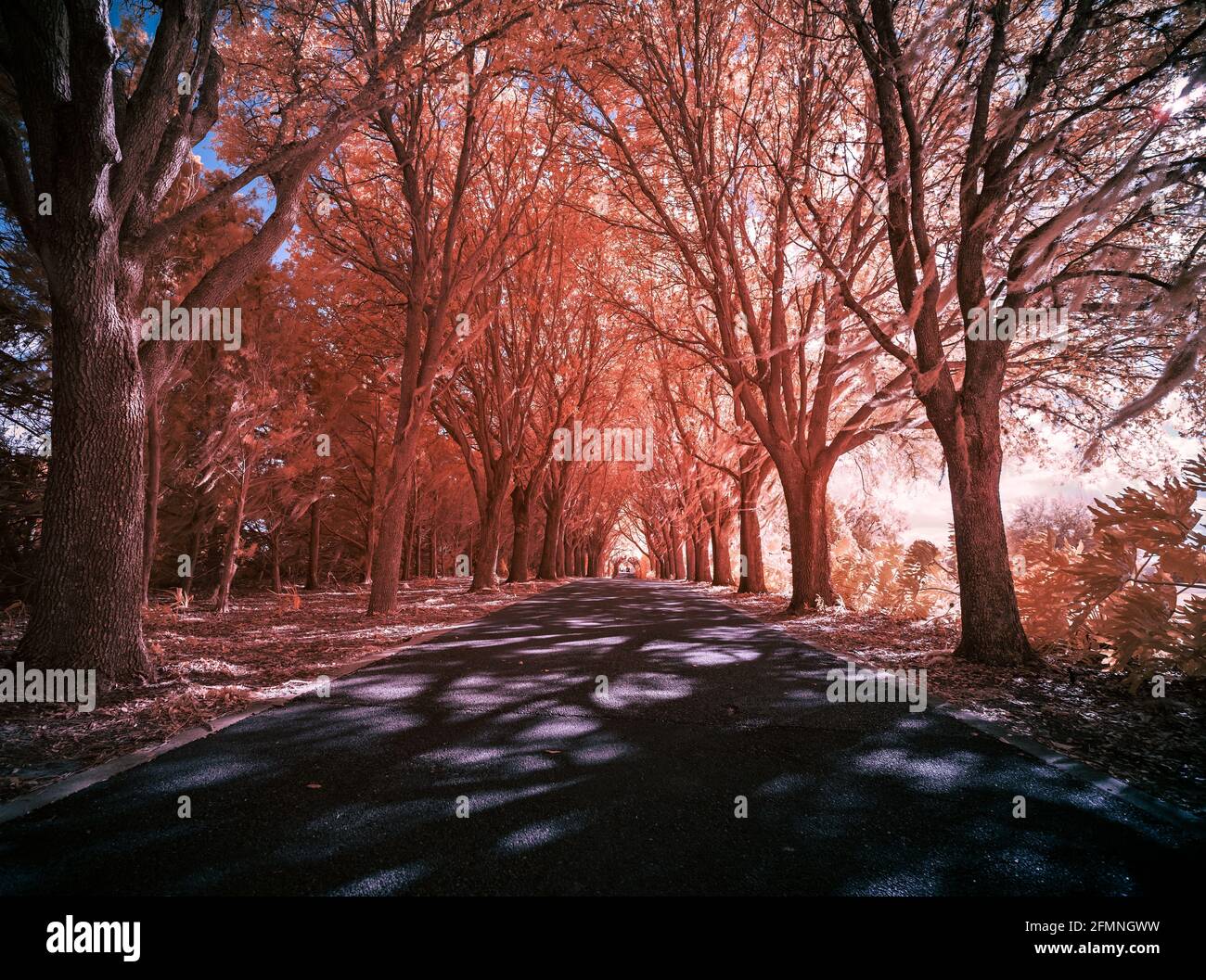 Visible spectrum hi-res stock photography and images - Alamy