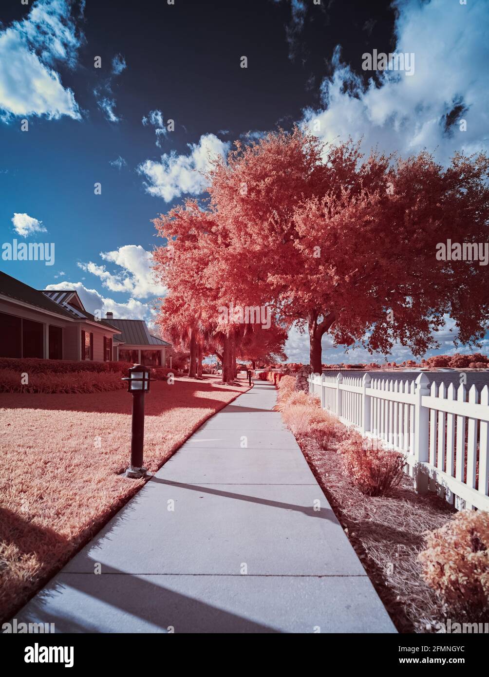 Visible light spectrum hi-res stock photography and images - Alamy