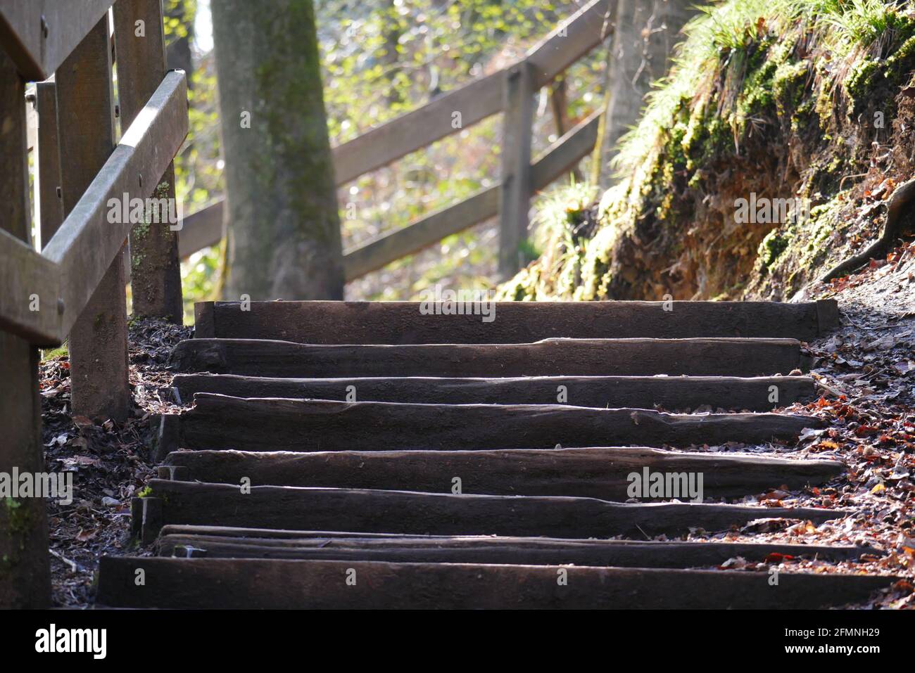 close up of a wooden staircase as part of a hiking trail through the ...