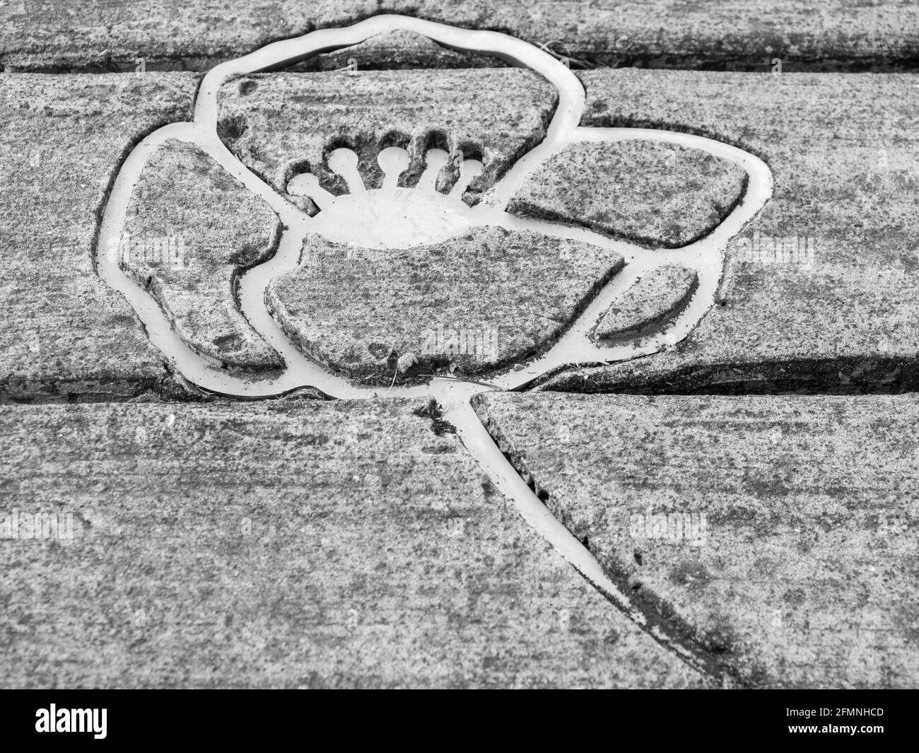AUCKLAND, NEW ZEALAND - Apr 27, 2021: Red poppy imprinted on concrete ...