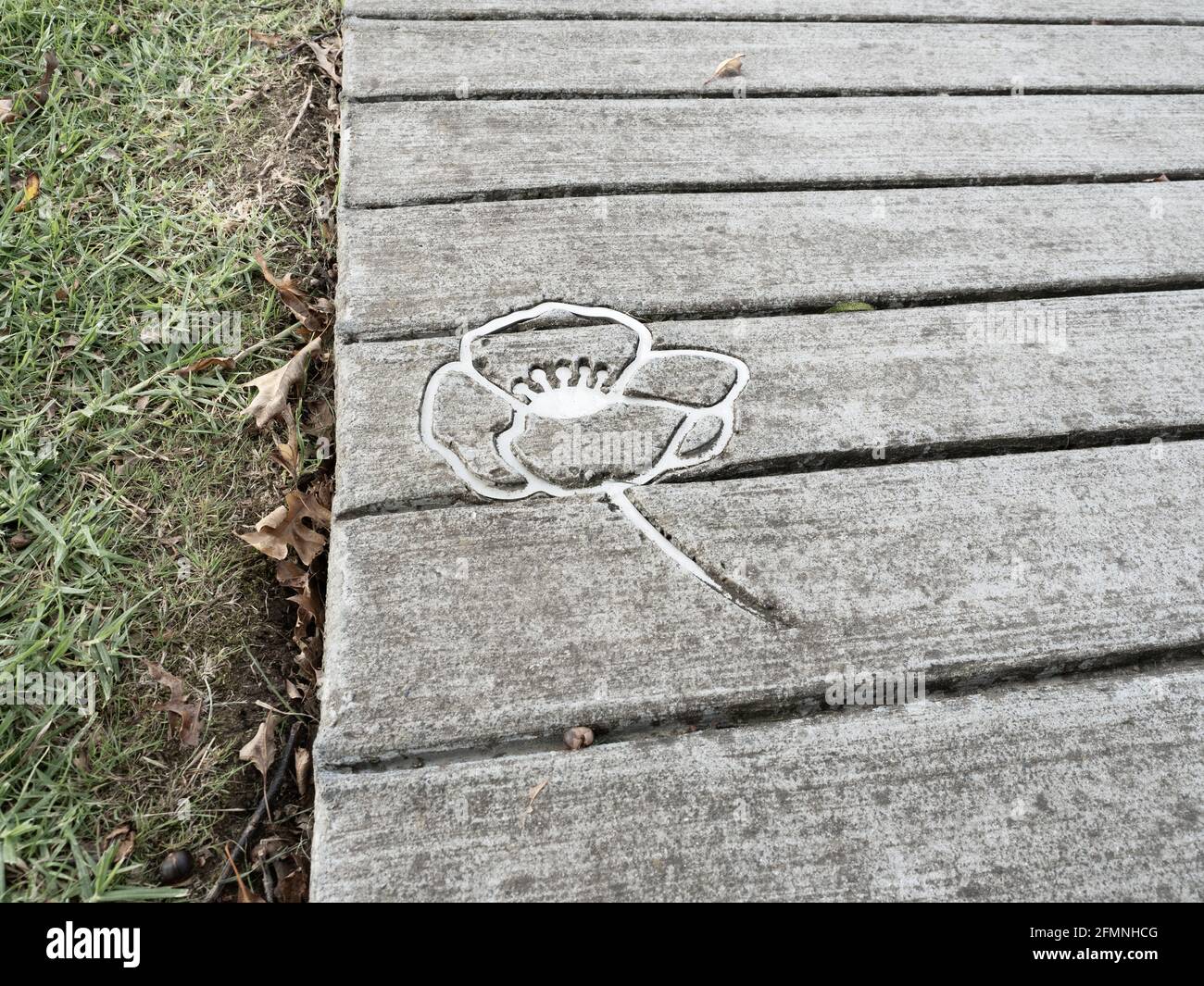 AUCKLAND, NEW ZEALAND - Apr 27, 2021: Red poppy imprinted on concrete ...