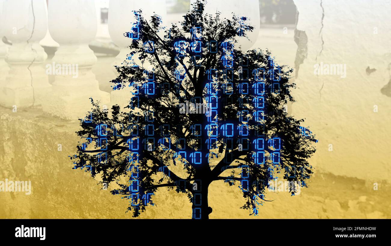 Leaf and binary code hi-res stock photography and images - Alamy
