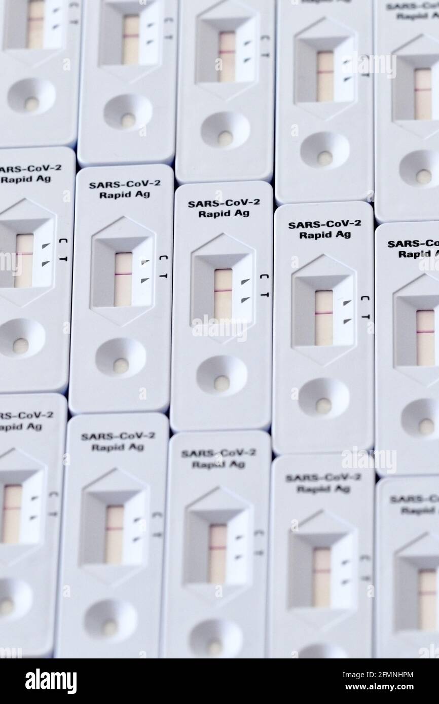 Mosaic disease hi-res stock photography and images - Alamy