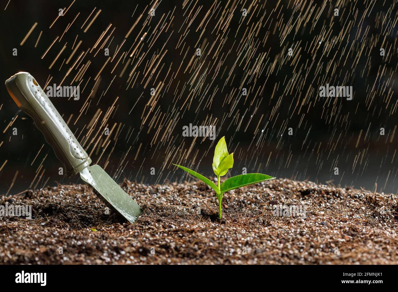 Raindrop soil hi-res stock photography and images - Alamy