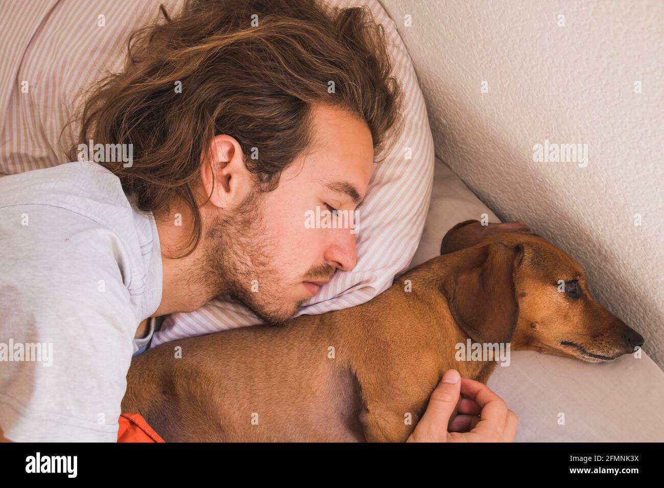 man sleeping with dog Stock Photo - Alamy