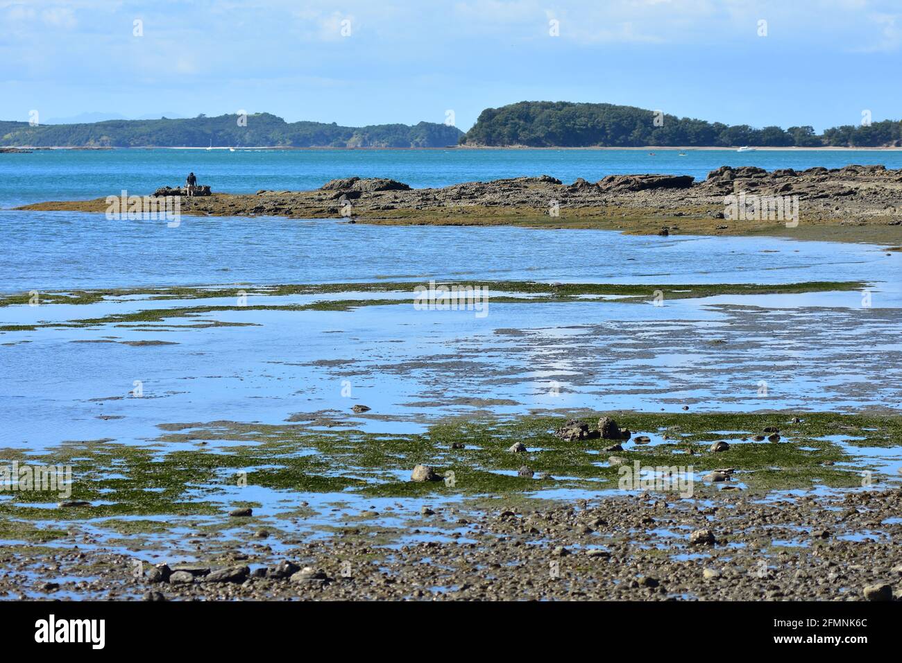 Rocky coast of sheltered harbour with mud flats and areas of sea grass ...