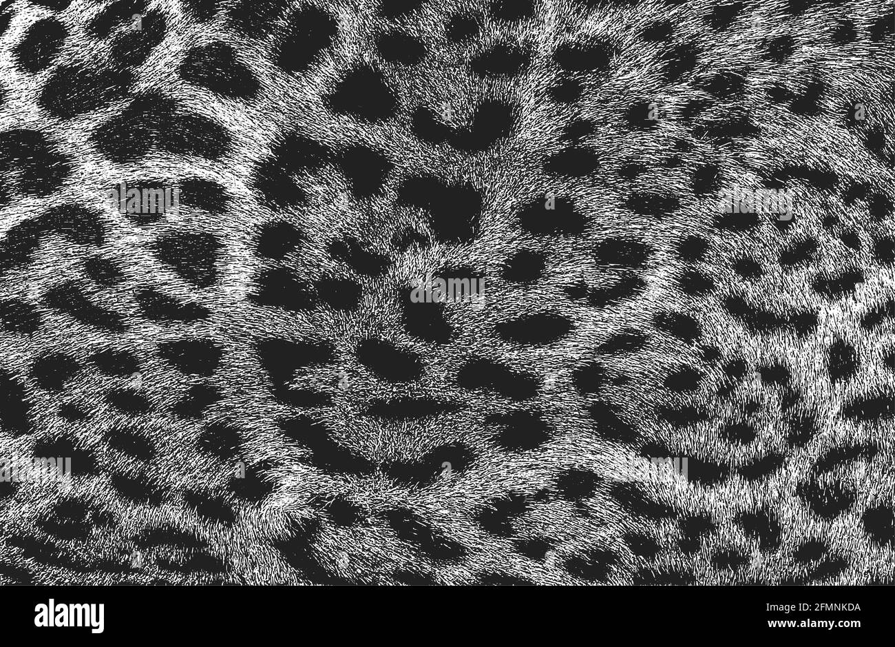 Distressed overlay texture of natural fur, grunge vector background ...