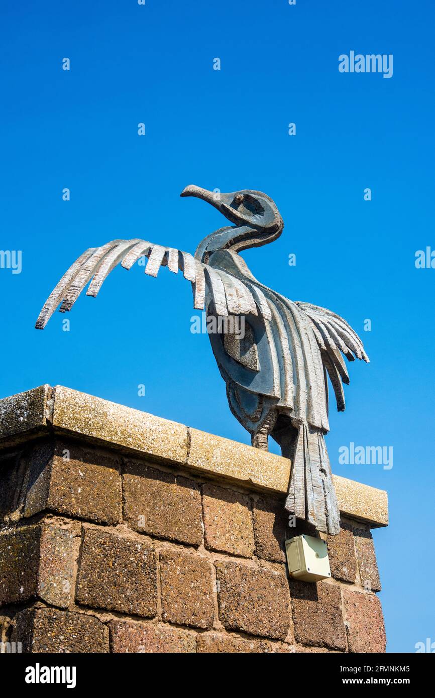 Celebrating the diverse wildlife of Morecambe Bay, the TERN project is ...