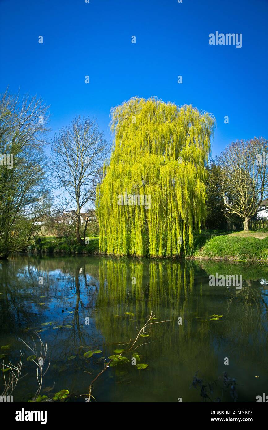 Green blue reflection landscape hi-res stock photography and images - Alamy
