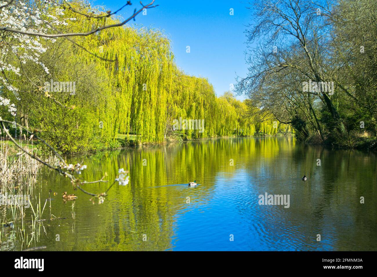 Green blue reflection landscape hi-res stock photography and images - Alamy