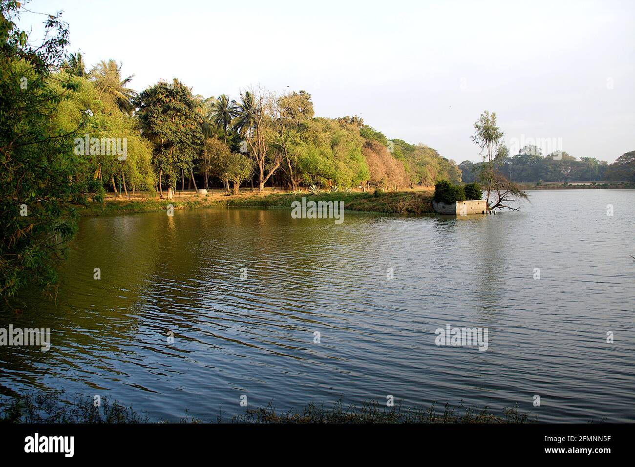 Lalbagh lake hi-res stock photography and images - Alamy