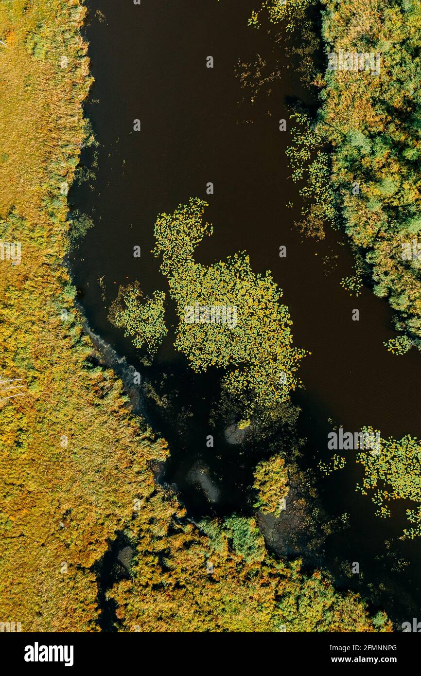 Aerial View Of Green Grass Landscape. Top View Of River Coast From High ...