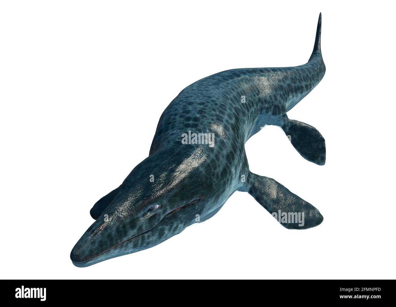 3D rendering of a large marine extinct reptile Mosasaur isolated on ...