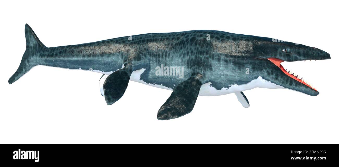 Mosasaur High Resolution Stock Photography and Images - Alamy