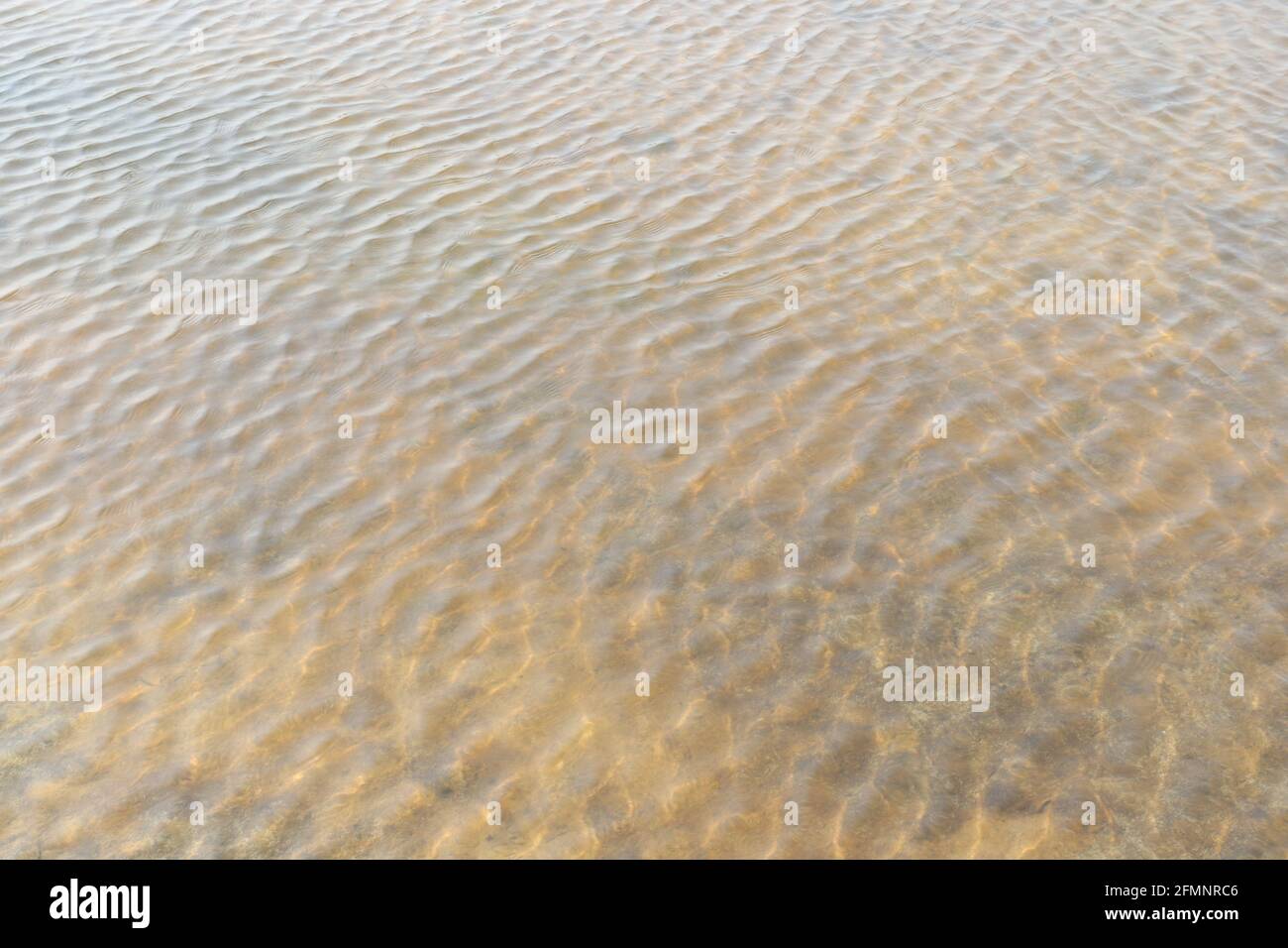 river view with water and beach Stock Photo - Alamy