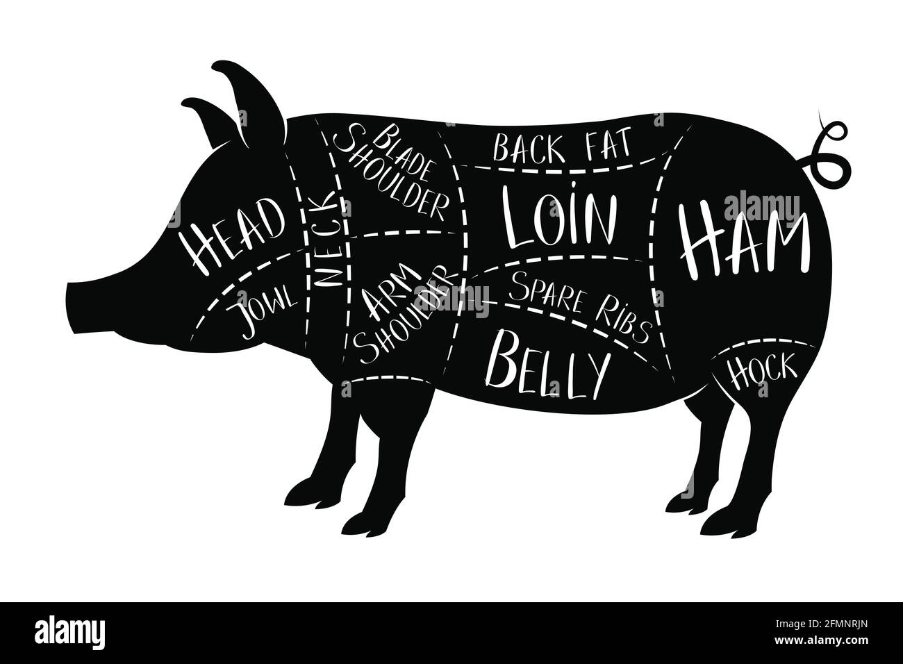 Butcher's guide - pork - vector illustration Stock Vector Image & Art ...