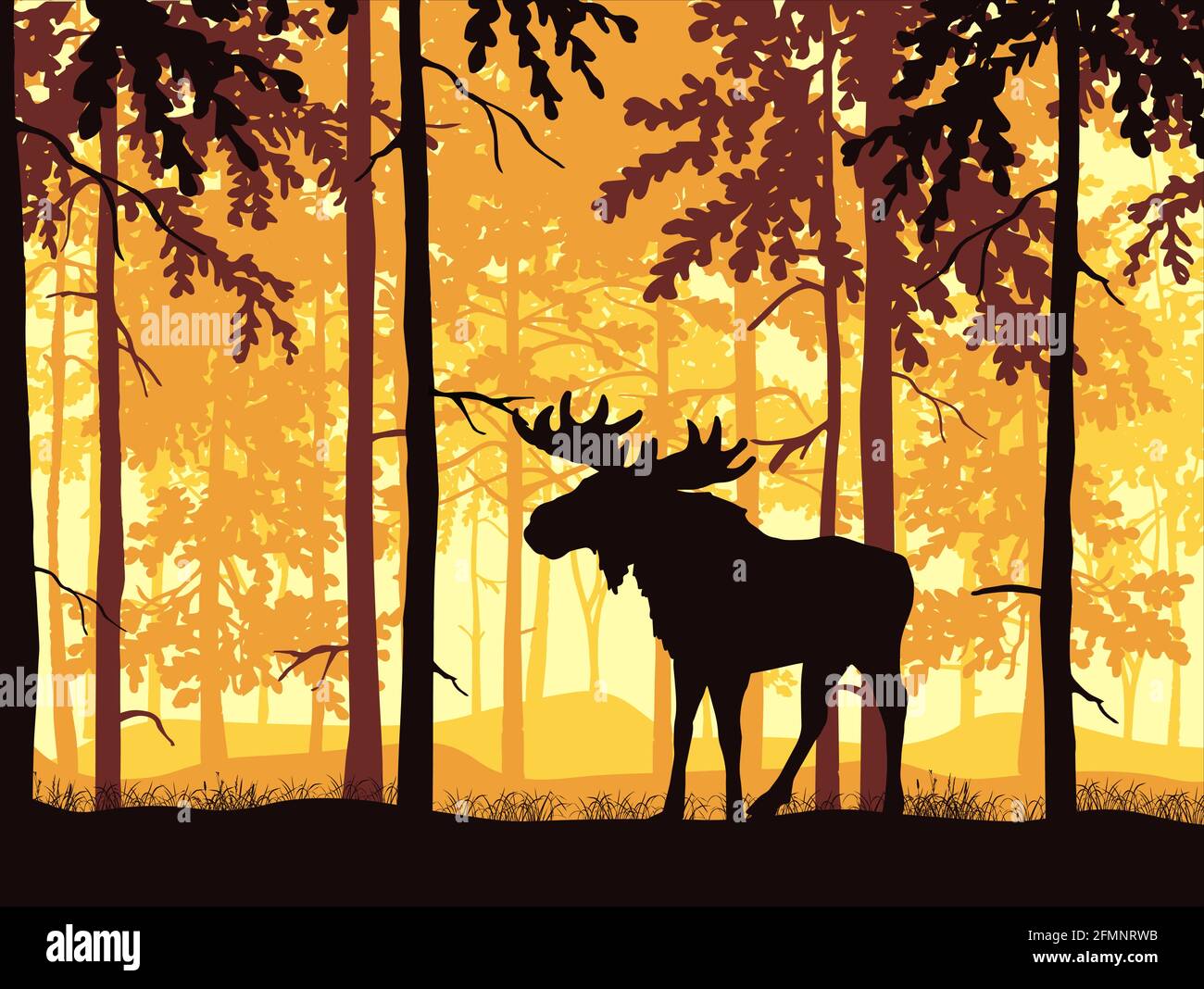 Forest Wallpapers With Moose