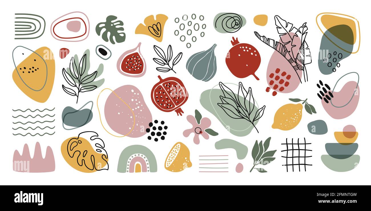 Organic Lines In Nature