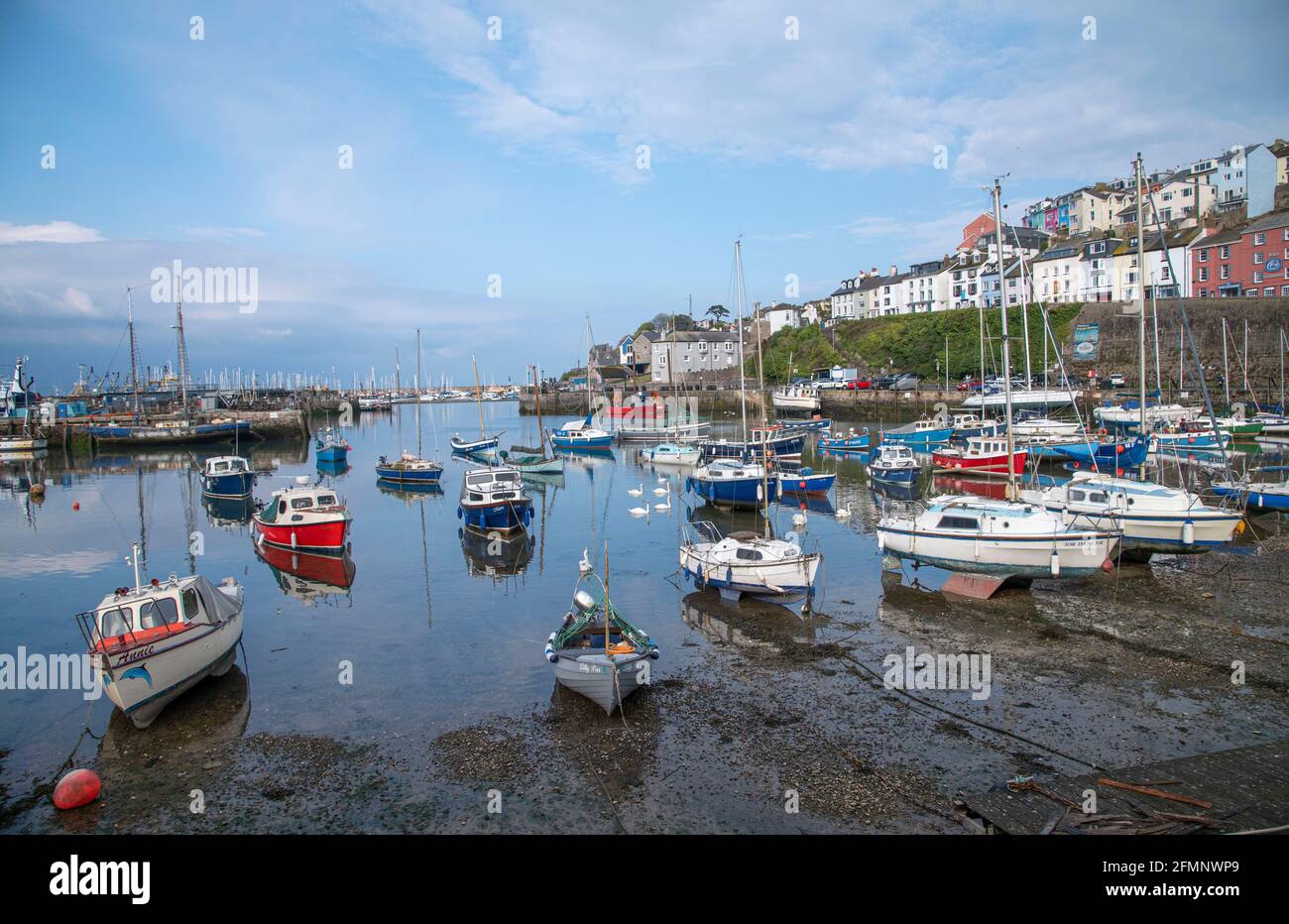 Brixham town hi-res stock photography and images - Alamy