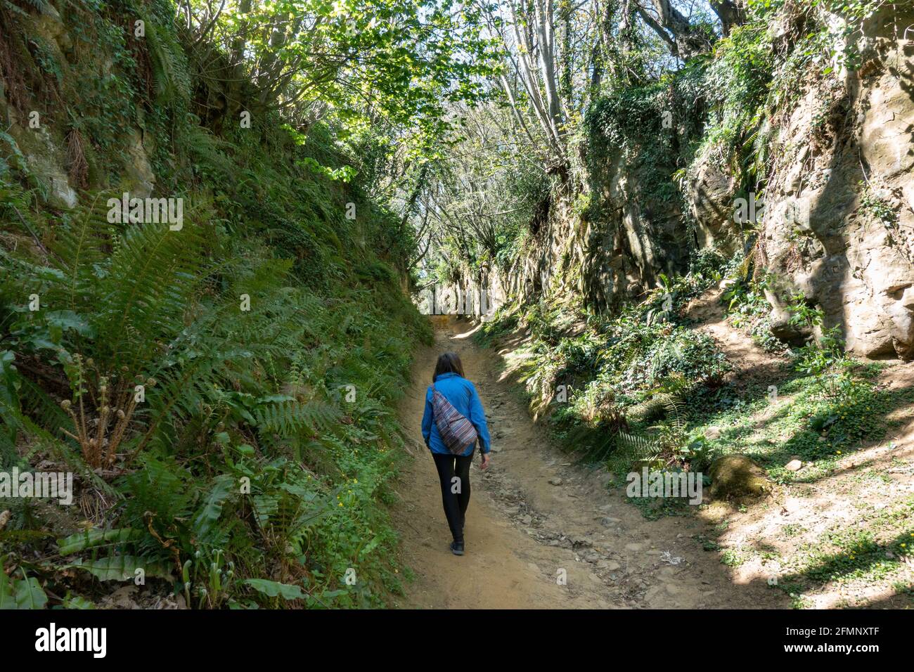 Lone woman walking along Hell Lane, an ancient sunken path (a Holloway ...