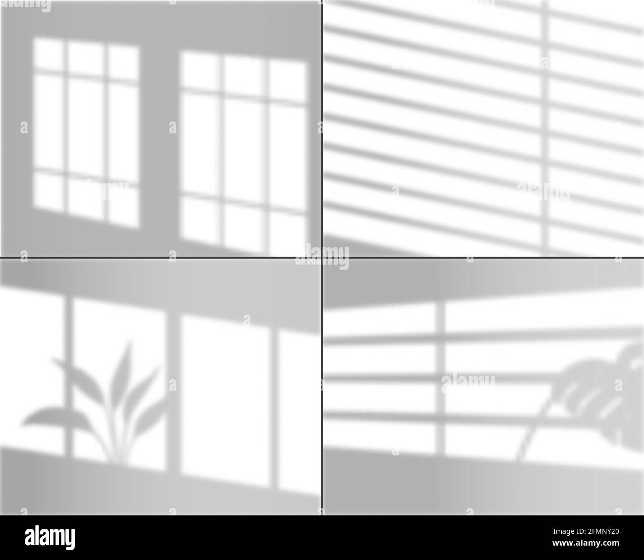 Window shadows. Realistic light overlay wall shade with tropical ...