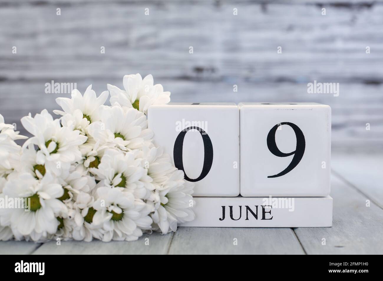 White wood calendar blocks with the date June 9th and white daisies ...