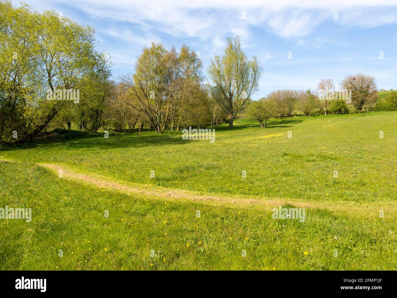 Mown grass pathway hi-res stock photography and images - Alamy