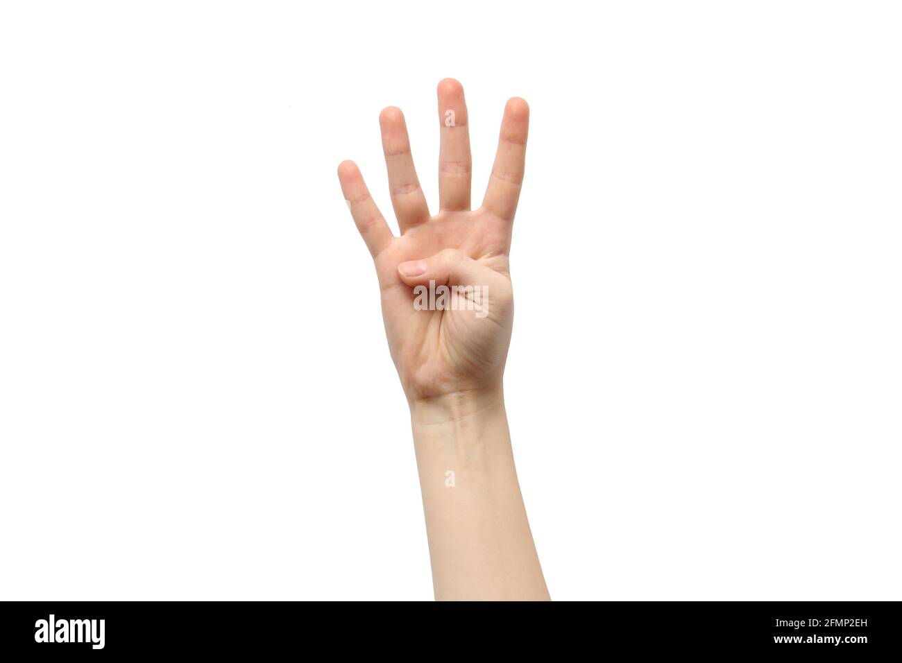 Hand on a white background. Hand Shows Four Fingers Stock Photo - Alamy