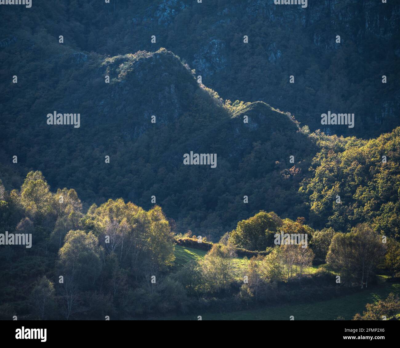 Limestone hills emerge between native deciduous forest in the foothills ...