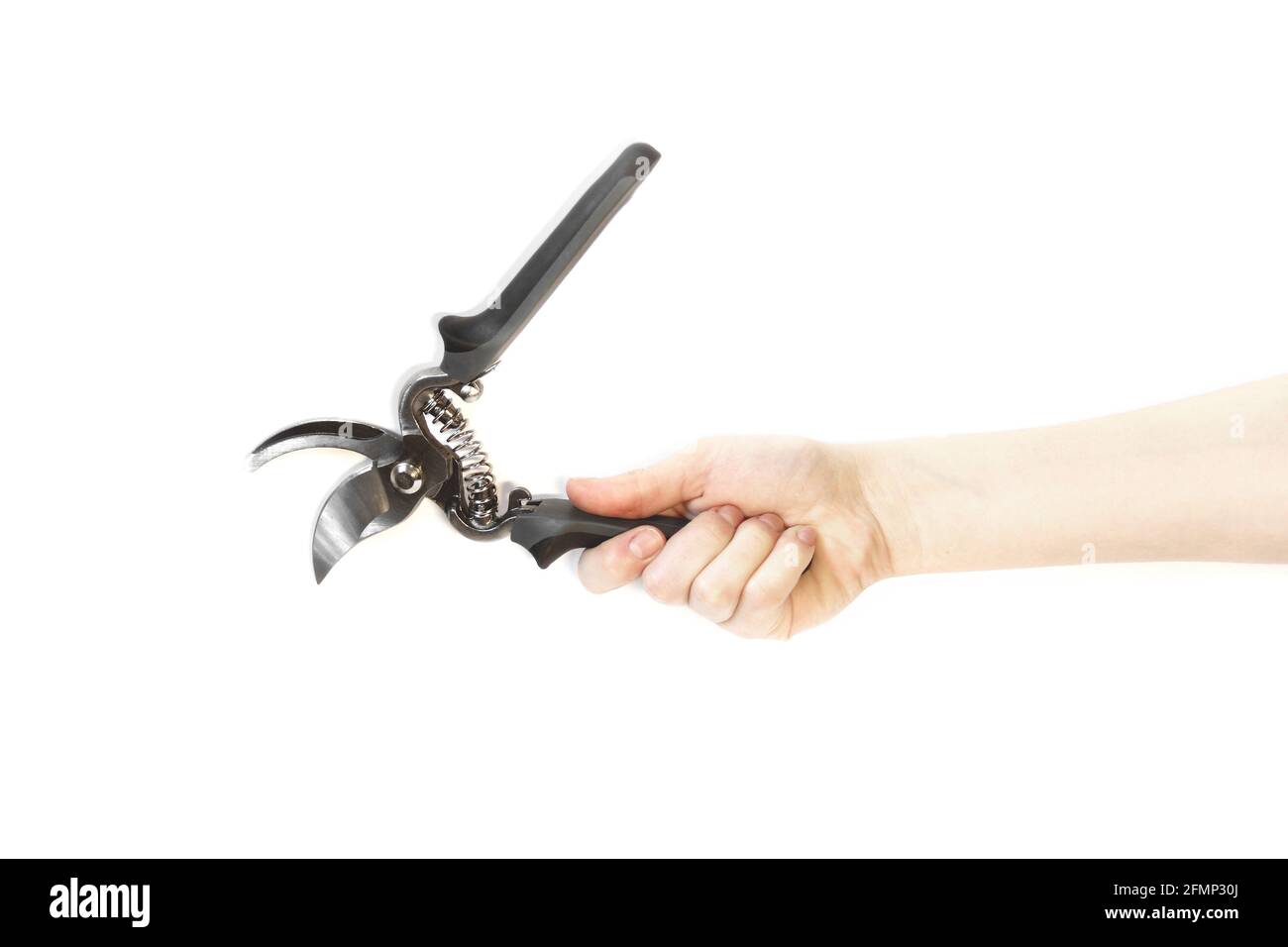 Secateurs in hand on hi-res stock photography and images - Alamy
