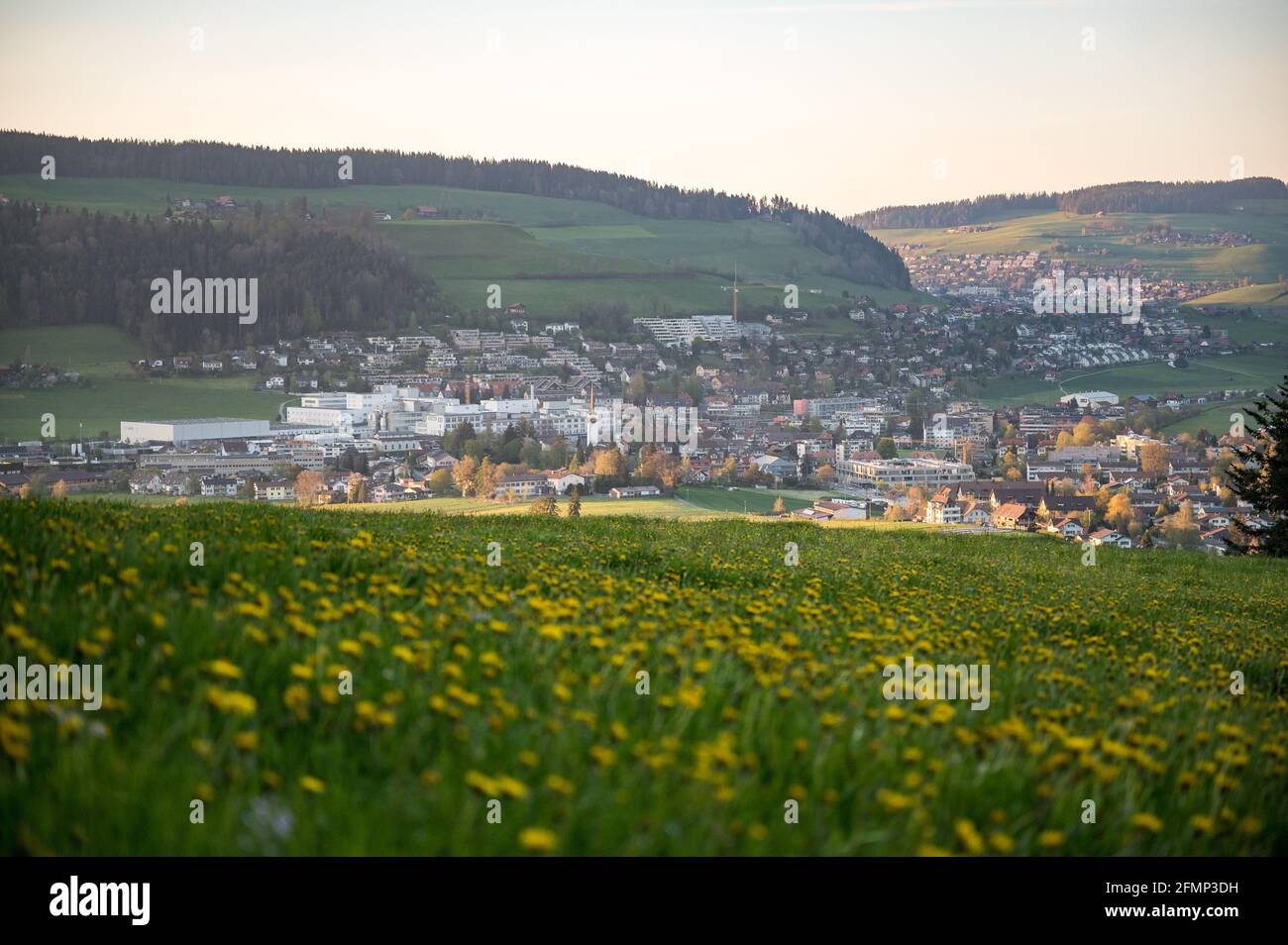 village of Konolfingen with a wildflower field in spring Stock Photo ...