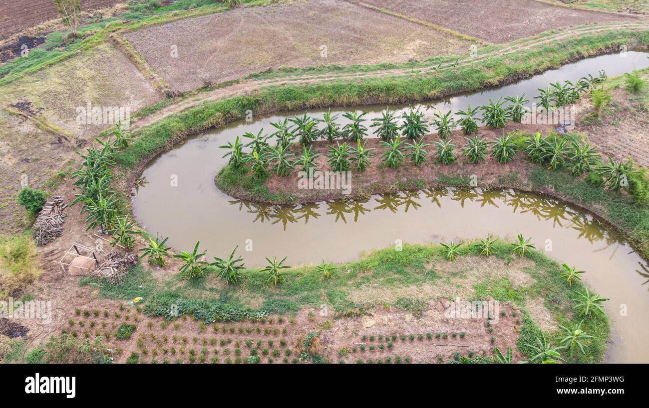 Aerial view lush banana hi-res stock photography and images - Alamy