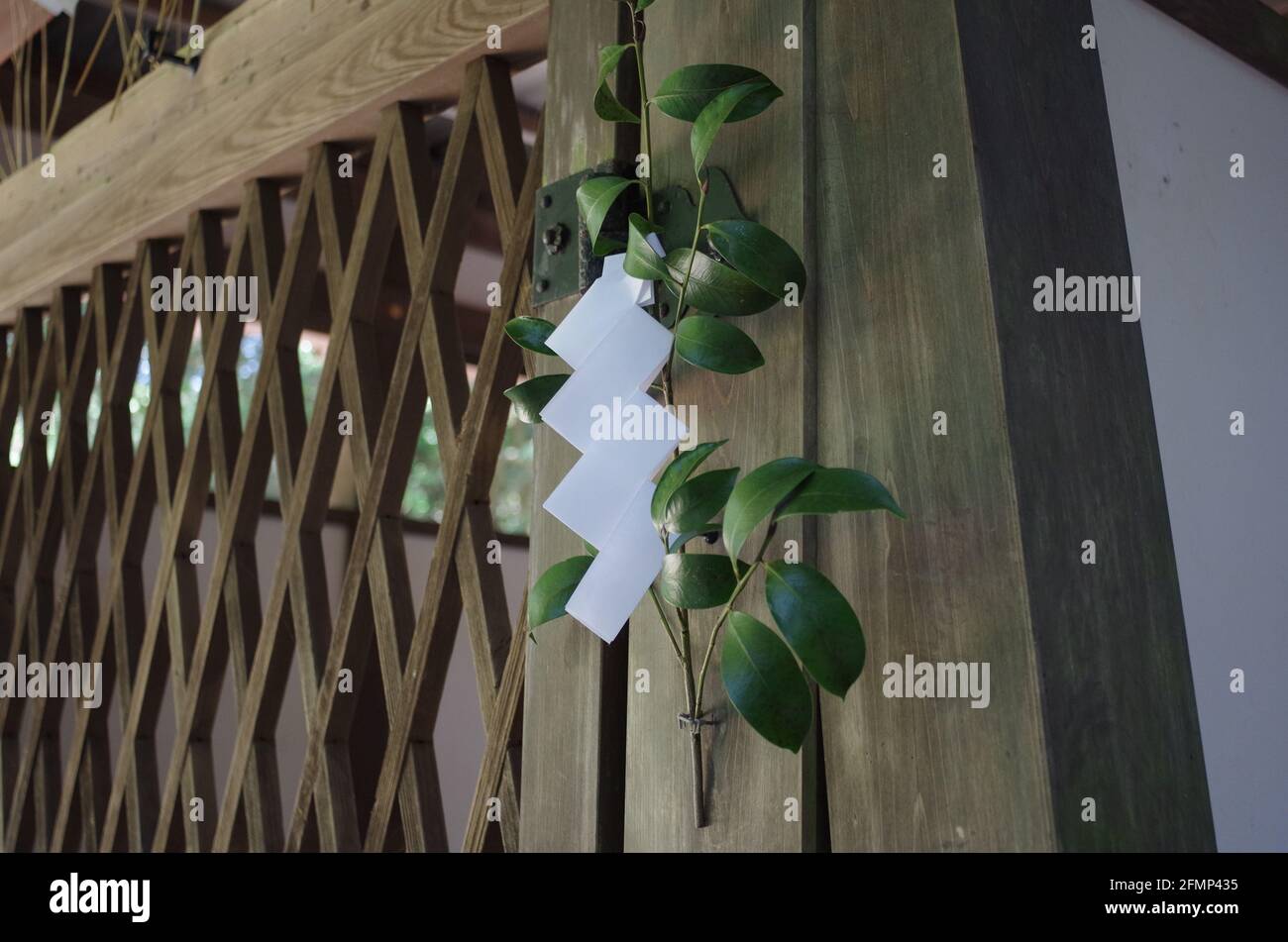 Shide folded paper and Sakai branch at Mikage Shrine in Kyoto Japan ...