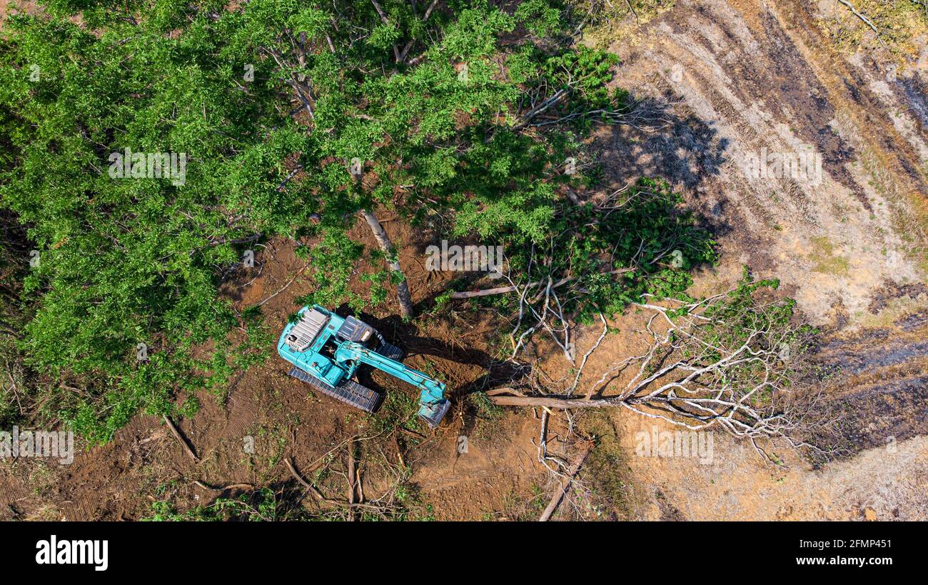 The top view of the deforestation Stock Photo - Alamy