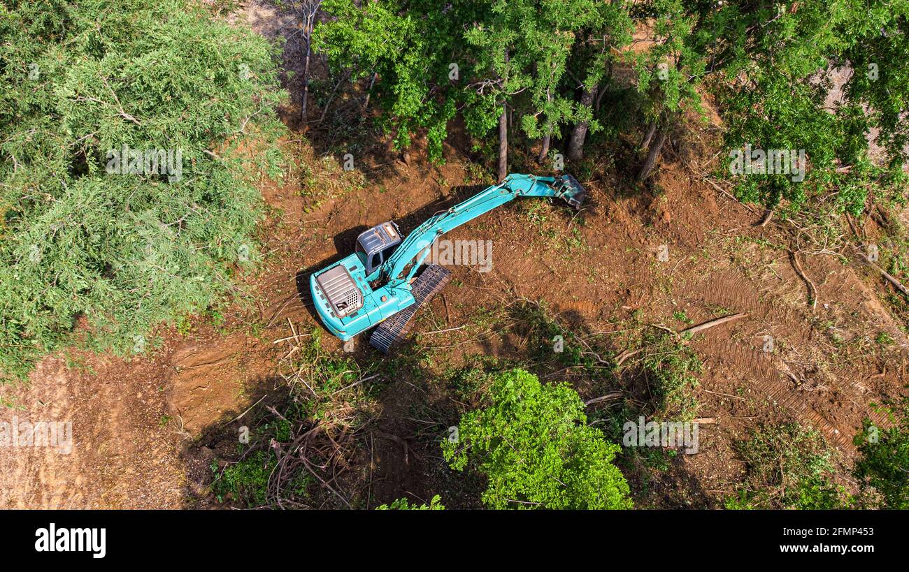 The top view of the deforestation Stock Photo - Alamy