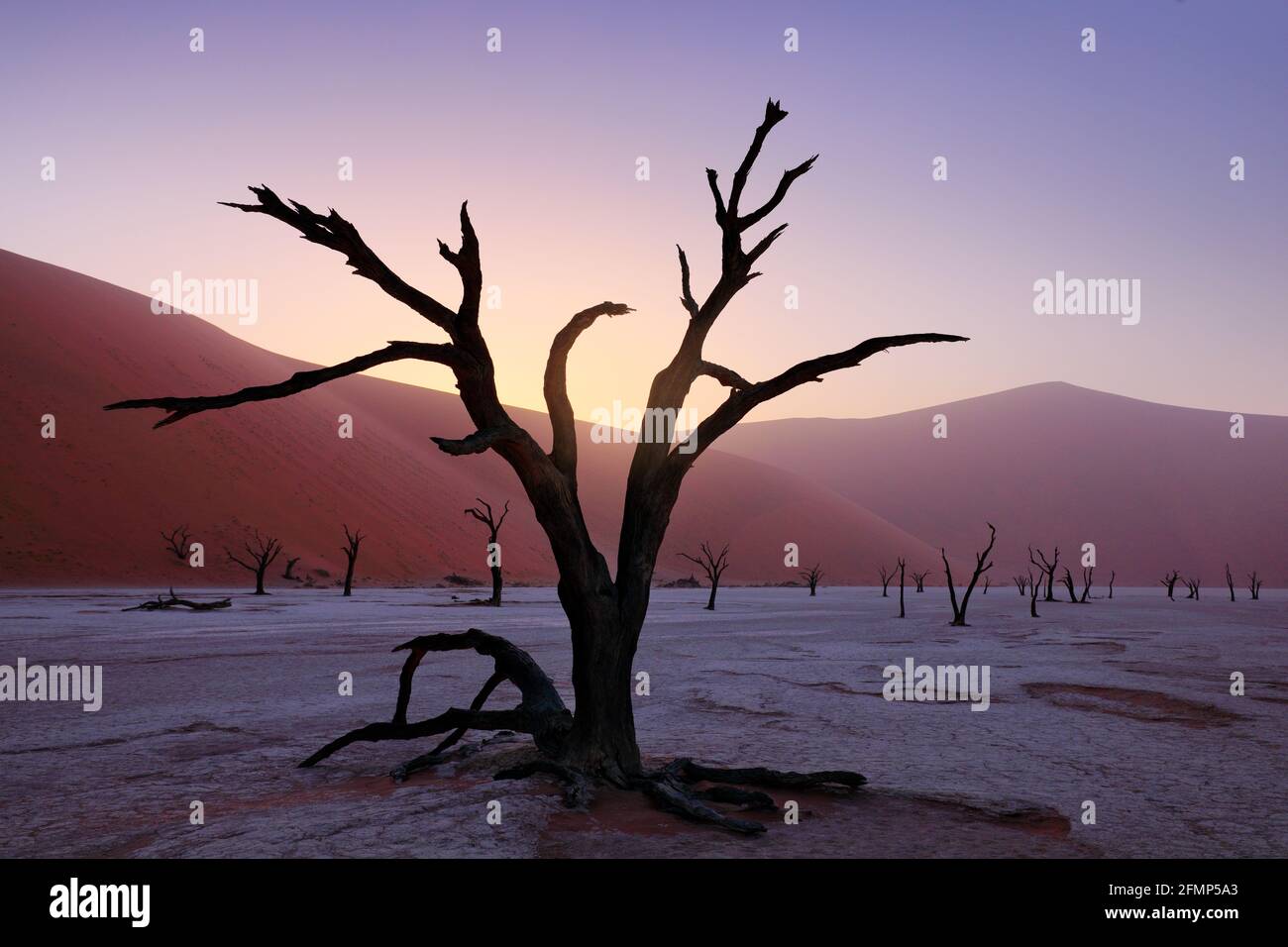 Namibia landscape from Sossusvlei, Namib desert, Southern Africa. Red ...