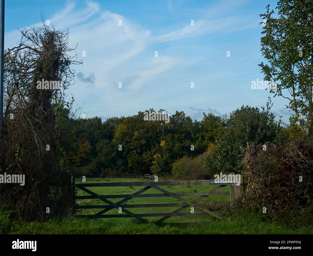 A wooden farm gate, surrounded by hedges, leading to a field and ...