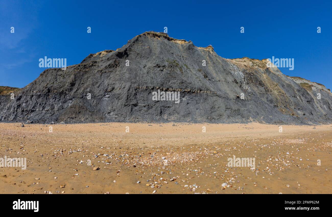 Fossil dorset beach hi-res stock photography and images - Alamy