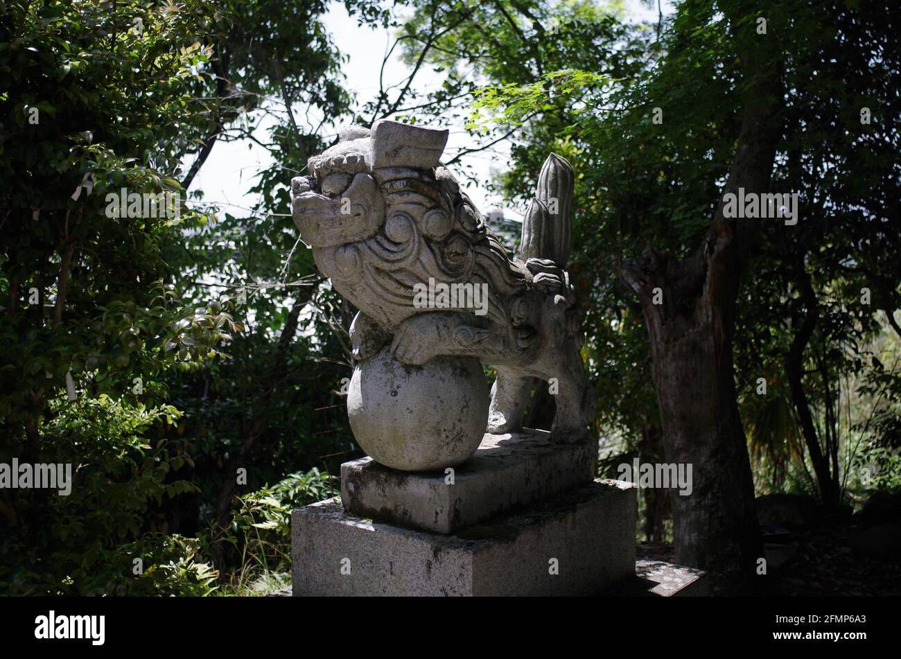 Komainu Lion-dog Statue at the entrance to Myoen Temple Kyoto Japan ...